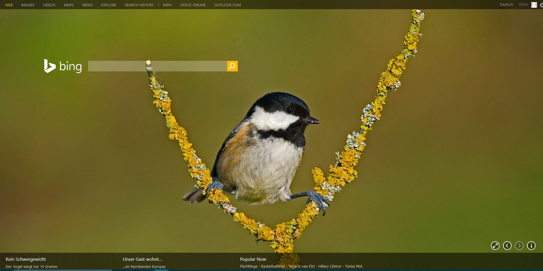 Bing Themes & Skins | Userstyles.org