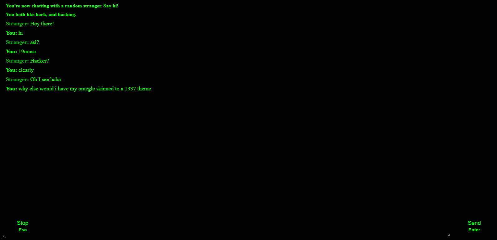 1337 leet skinchanger Themes & Skins | Userstyles.org